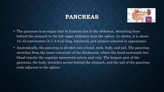 Review of anatomy and physiology of endocrine system.pptx