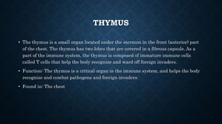 Review of anatomy and physiology of endocrine system.pptx