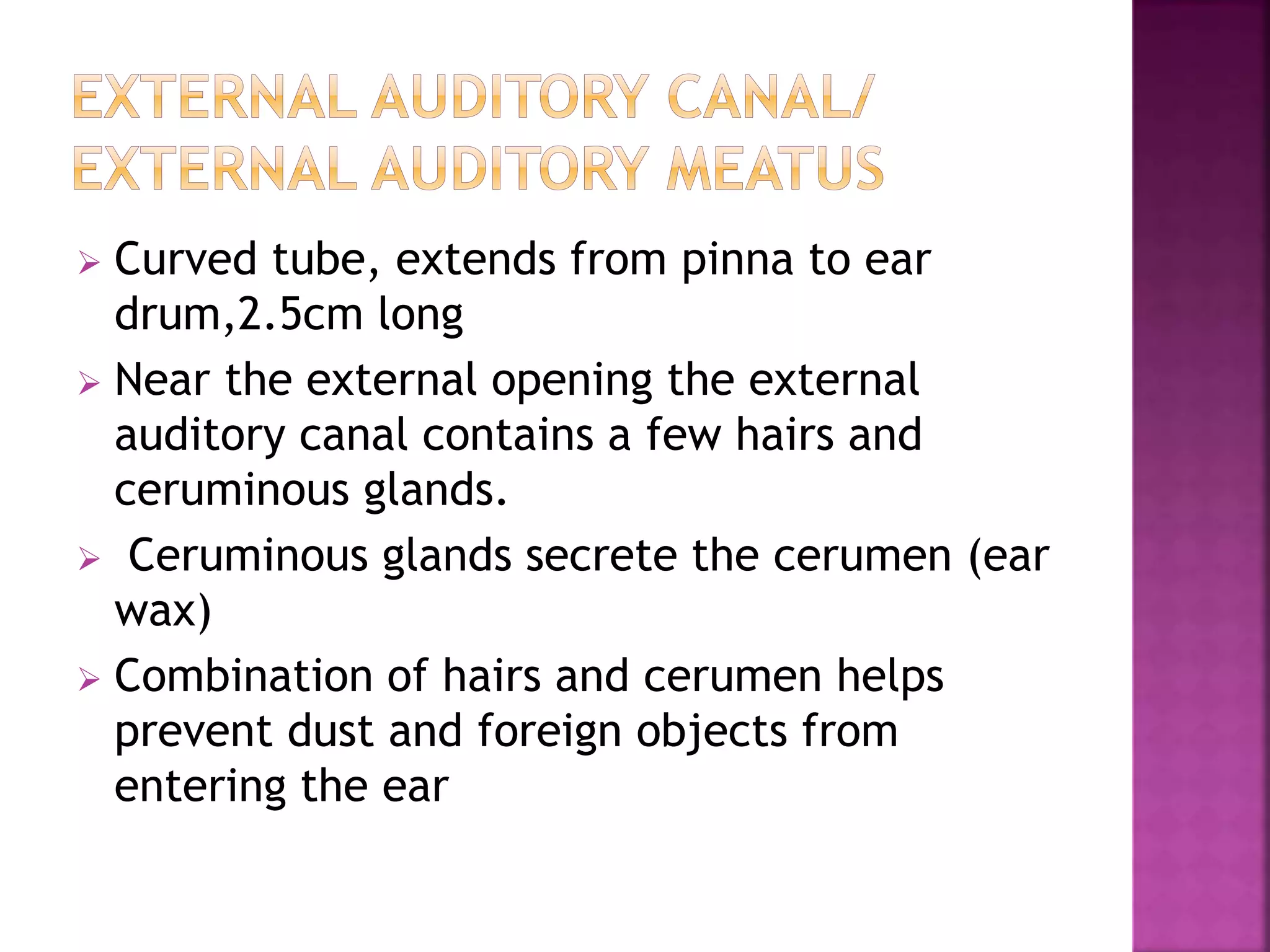 Review of anatomy and physiology of the ear | PPTX