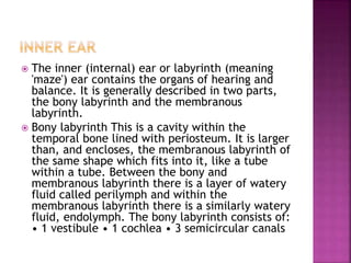 Review of anatomy and physiology of the ear | PPTX