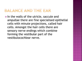 Review of anatomy and physiology of the ear | PPTX