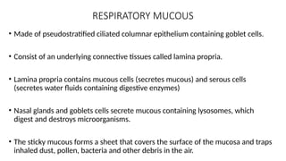 REVIEW OF ANATOMY OF THE RESPIRATORY SYSTEM.pptx
