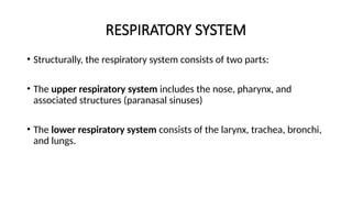 REVIEW OF ANATOMY OF THE RESPIRATORY SYSTEM.pptx