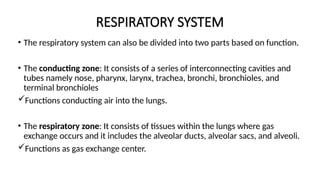 REVIEW OF ANATOMY OF THE RESPIRATORY SYSTEM.pptx