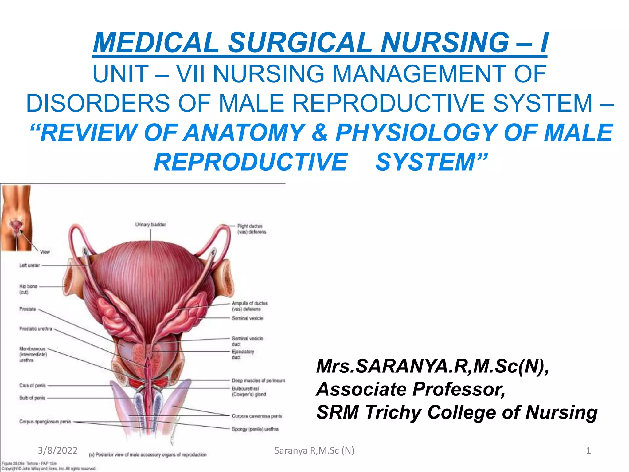 Review of anatomy and physiology of male re productive system | PPTX