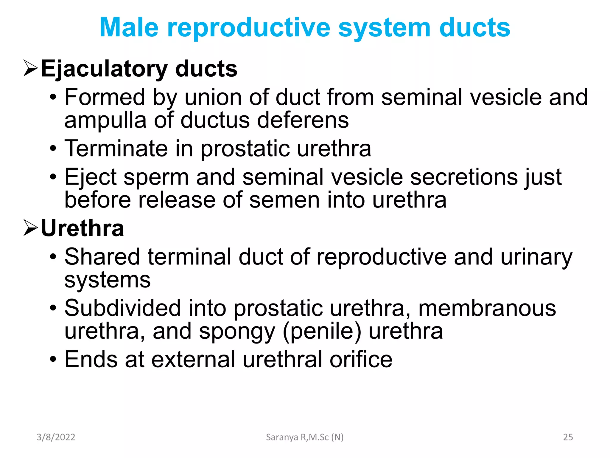 Review of anatomy and physiology of male re productive system | PPTX