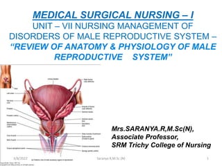 Review of anatomy and physiology of male re productive system | PPTX