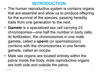 Review of anatomy and physiology of male re productive system | PPTX