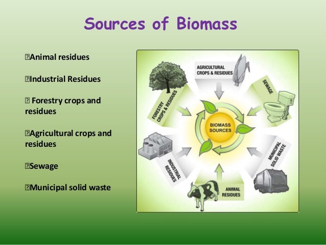 Review of Biomass Energy Sources