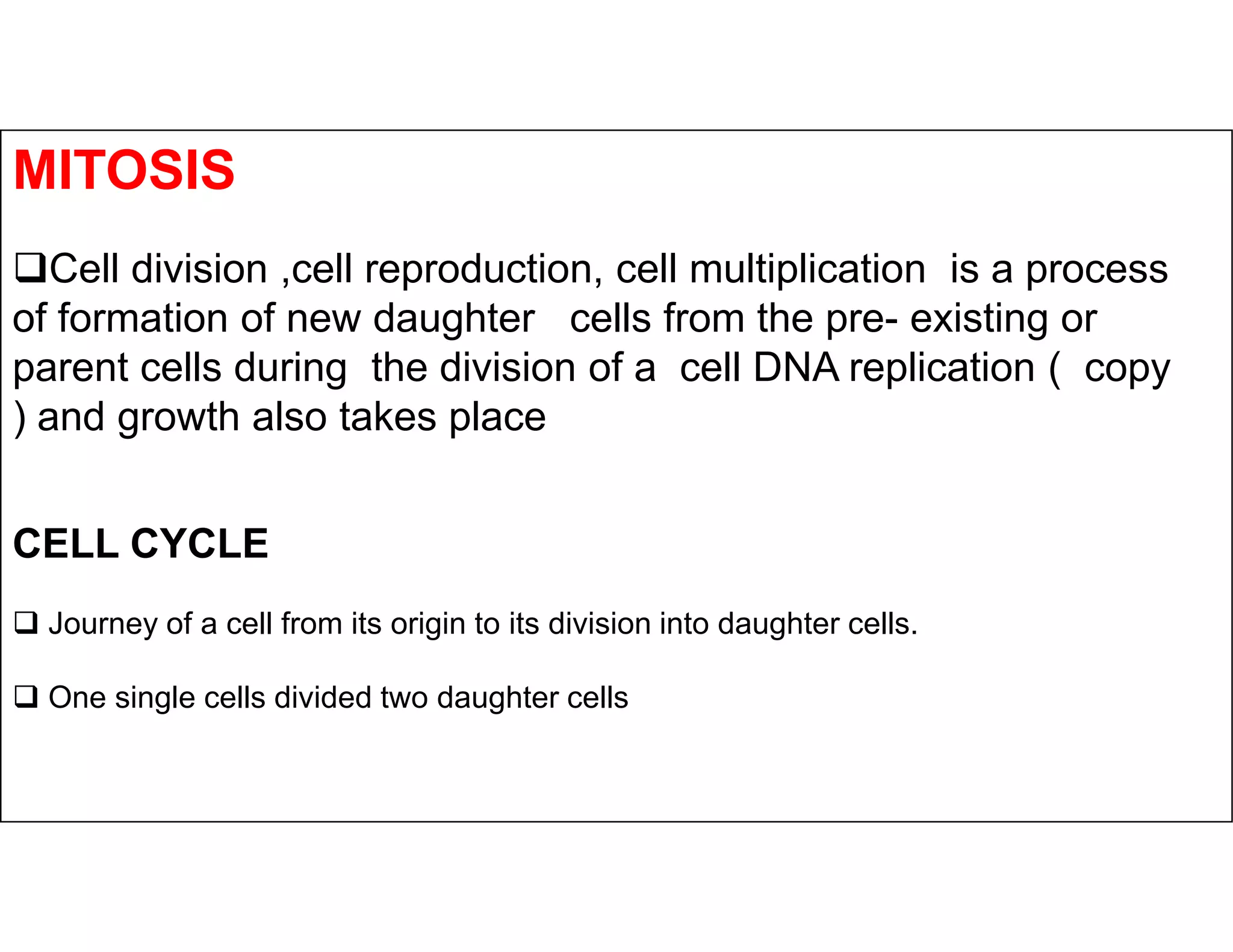 REVIEW OF CELLULAR DIVISION MITOSIS AND MEIOSIS 2023.pdf