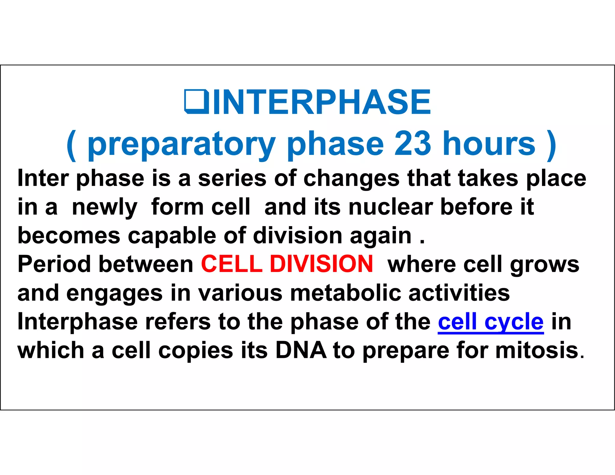 REVIEW OF CELLULAR DIVISION MITOSIS AND MEIOSIS 2023.pdf
