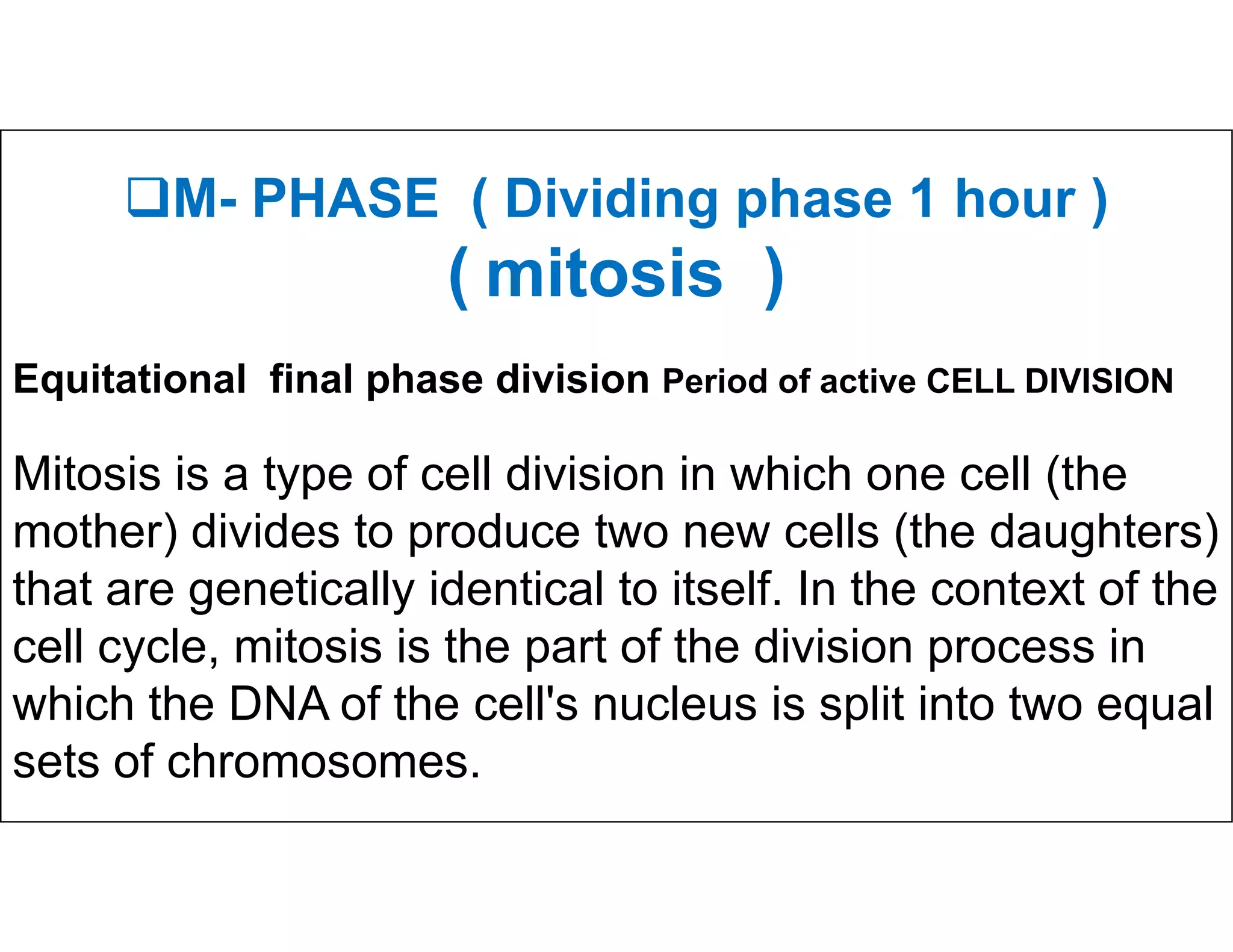 REVIEW OF CELLULAR DIVISION MITOSIS AND MEIOSIS 2023.pdf