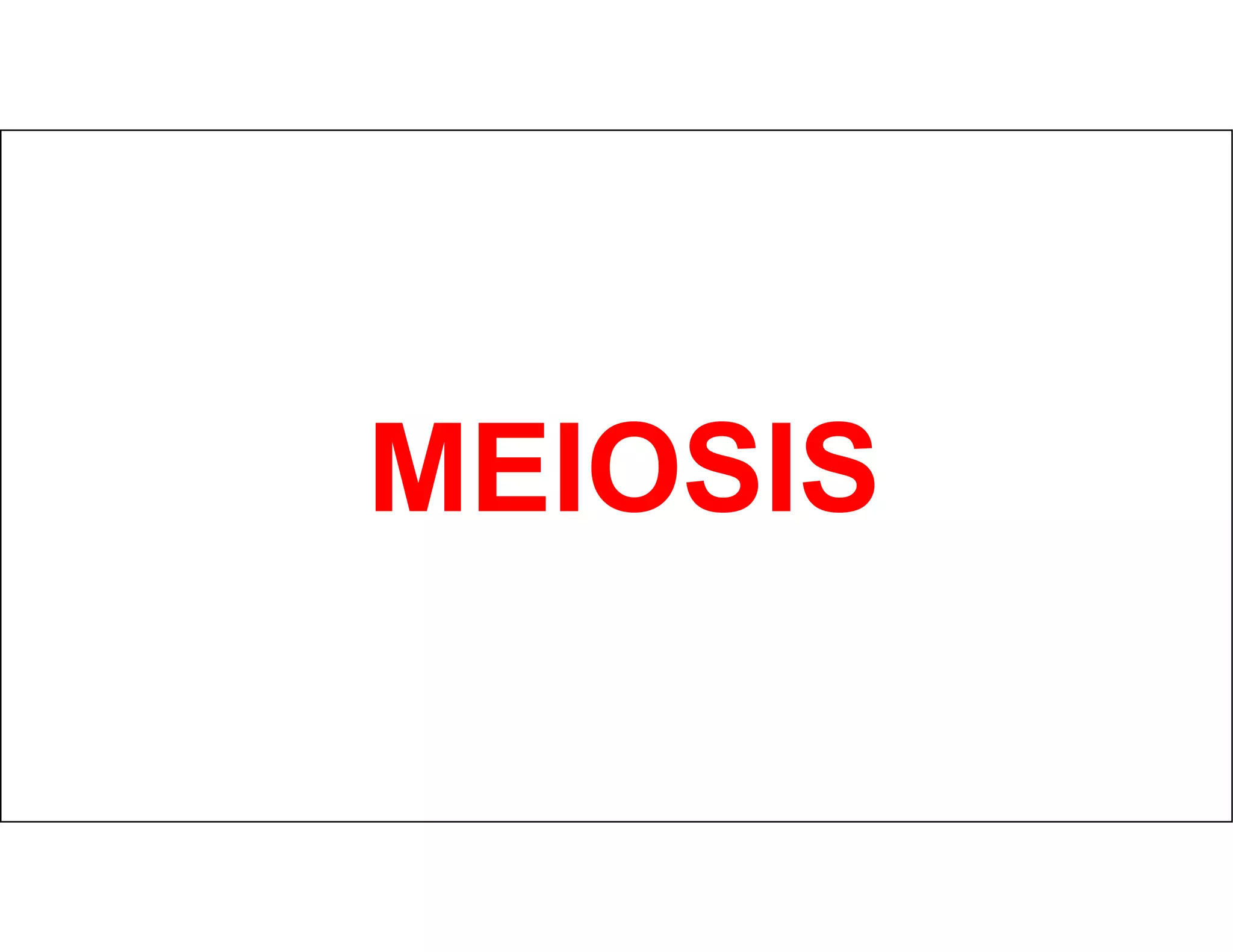 REVIEW OF CELLULAR DIVISION MITOSIS AND MEIOSIS 2023.pdf
