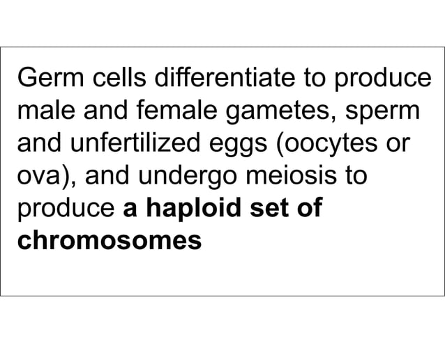 REVIEW OF CELLULAR DIVISION MITOSIS AND MEIOSIS 2023.pdf