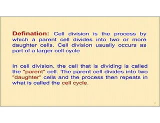 REVIEW OF CELLULAR DIVISION MITOSIS AND MEIOSIS 2023.pdf