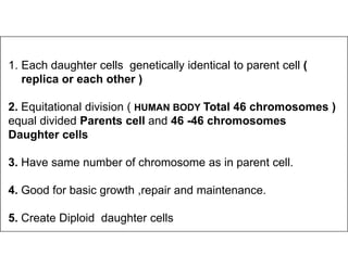 REVIEW OF CELLULAR DIVISION MITOSIS AND MEIOSIS 2023.pdf