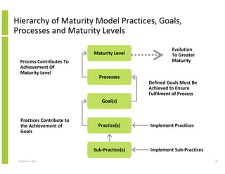 Review of Data Management Maturity Models | PDF