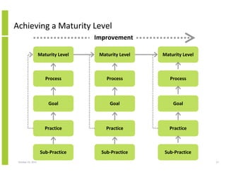 Review of Data Management Maturity Models | PDF