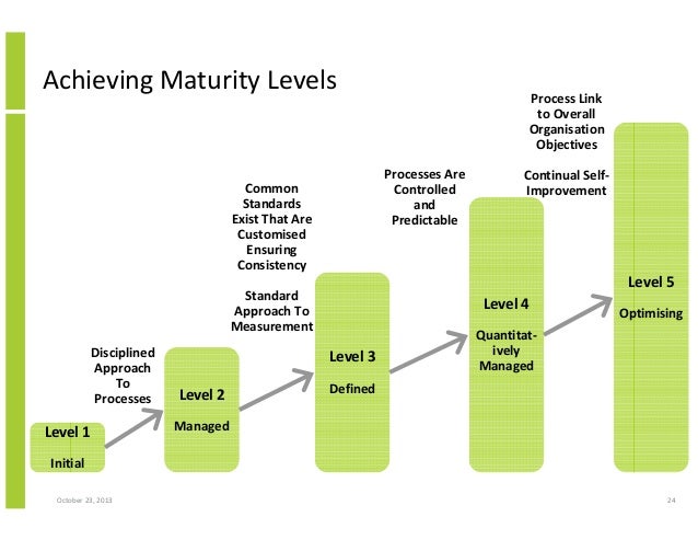 Review of Data Management Maturity Models