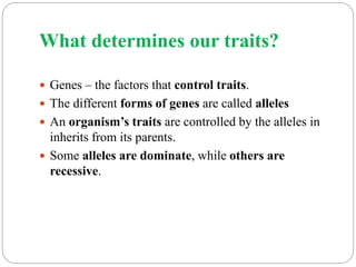 Review of genetics.pptx