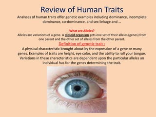 Review of human traits | PPT