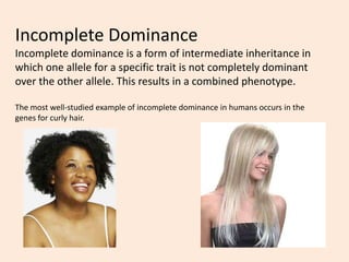 Review of human traits | PPT