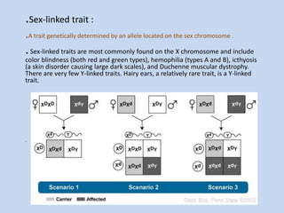 Review of human traits | PPTX