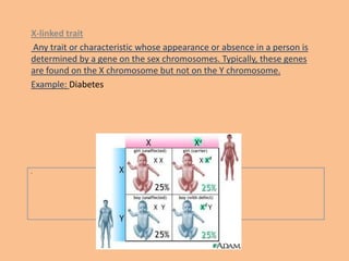 Review of human traits | PPT