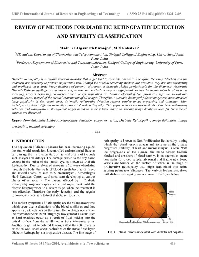 Review of methods for diabetic retinopathy detection and severity classification | PDF | Eye and ...