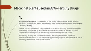 REVIEW OF NATURAL ANTIFERTILITY DRUGS.pptx