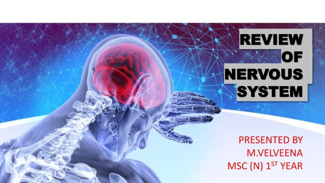 Overview of nervous system,mental health | PPT