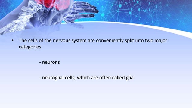Overview of nervous system,mental health | PPT