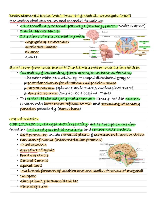 Review of Nervous System (neurology).pdf