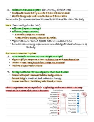 Review of Nervous System (neurology).pdf
