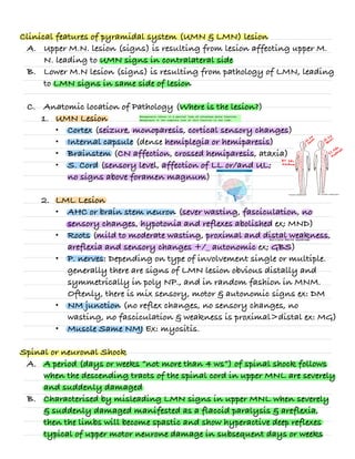 Review of Nervous System (neurology).pdf