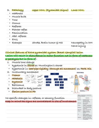 Review of Nervous System (neurology).pdf
