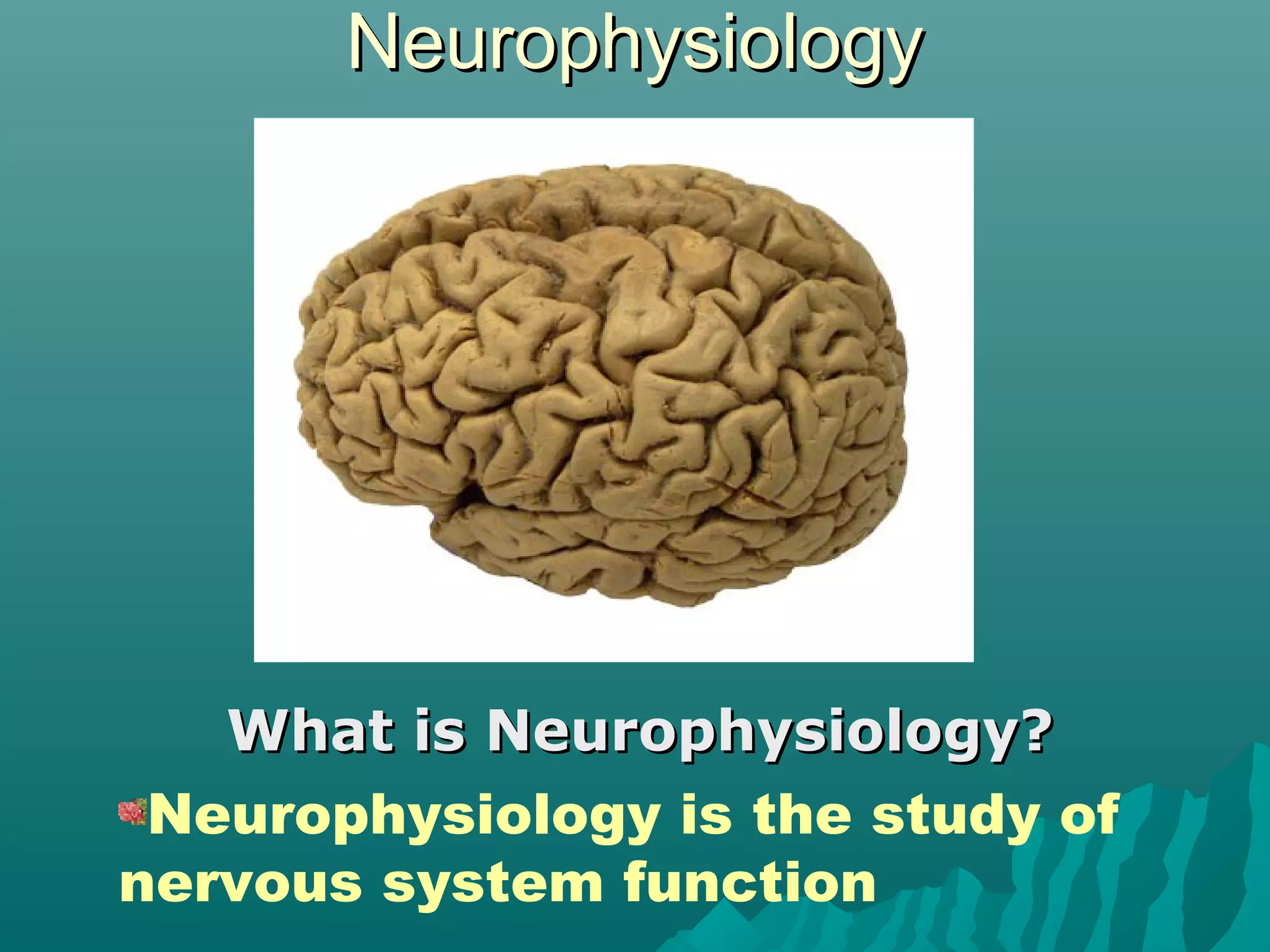 Review of neurophysiology (sensory system) 2016 | PPT