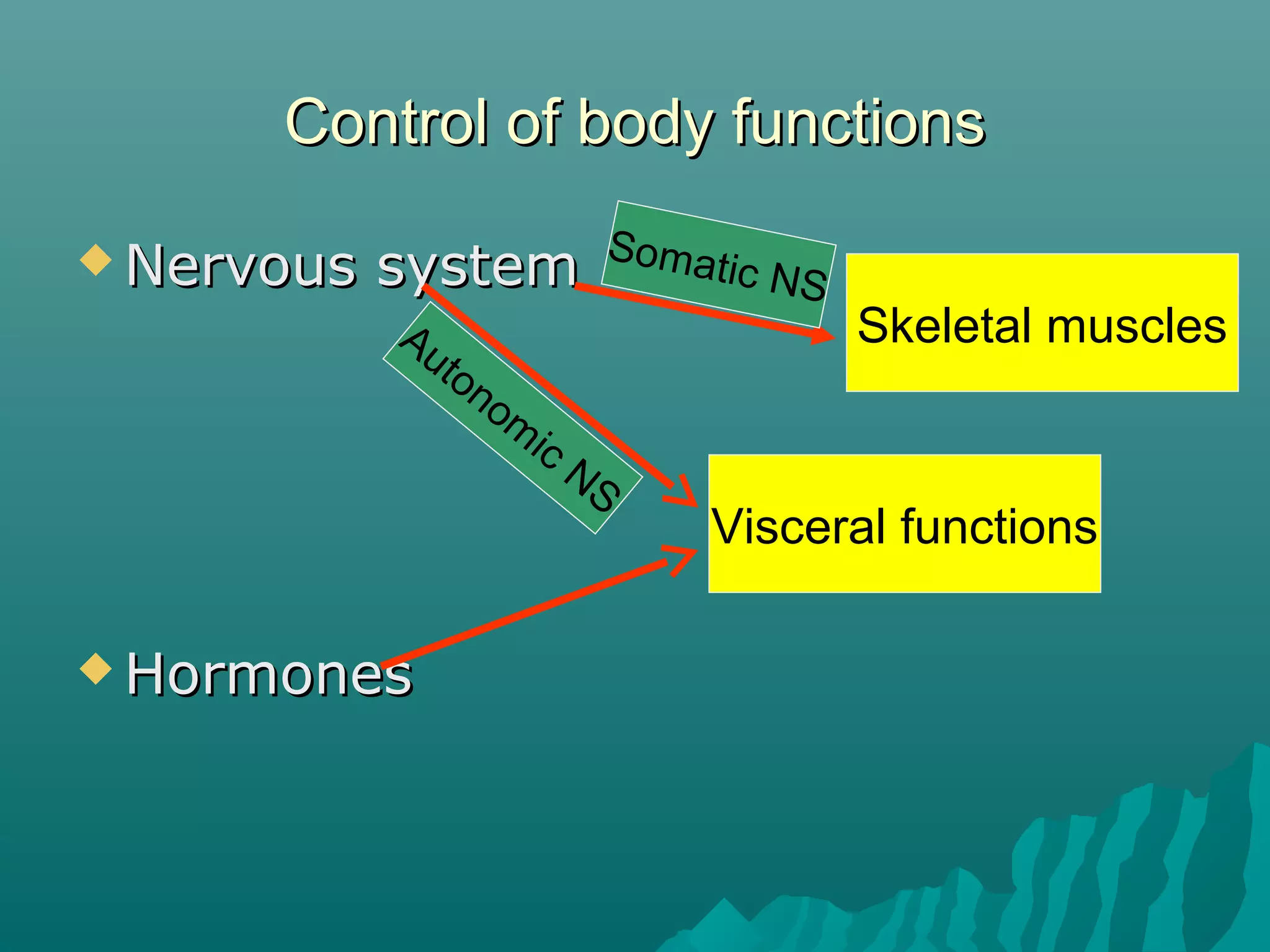 Review of neurophysiology (sensory system) 2016 | PPT
