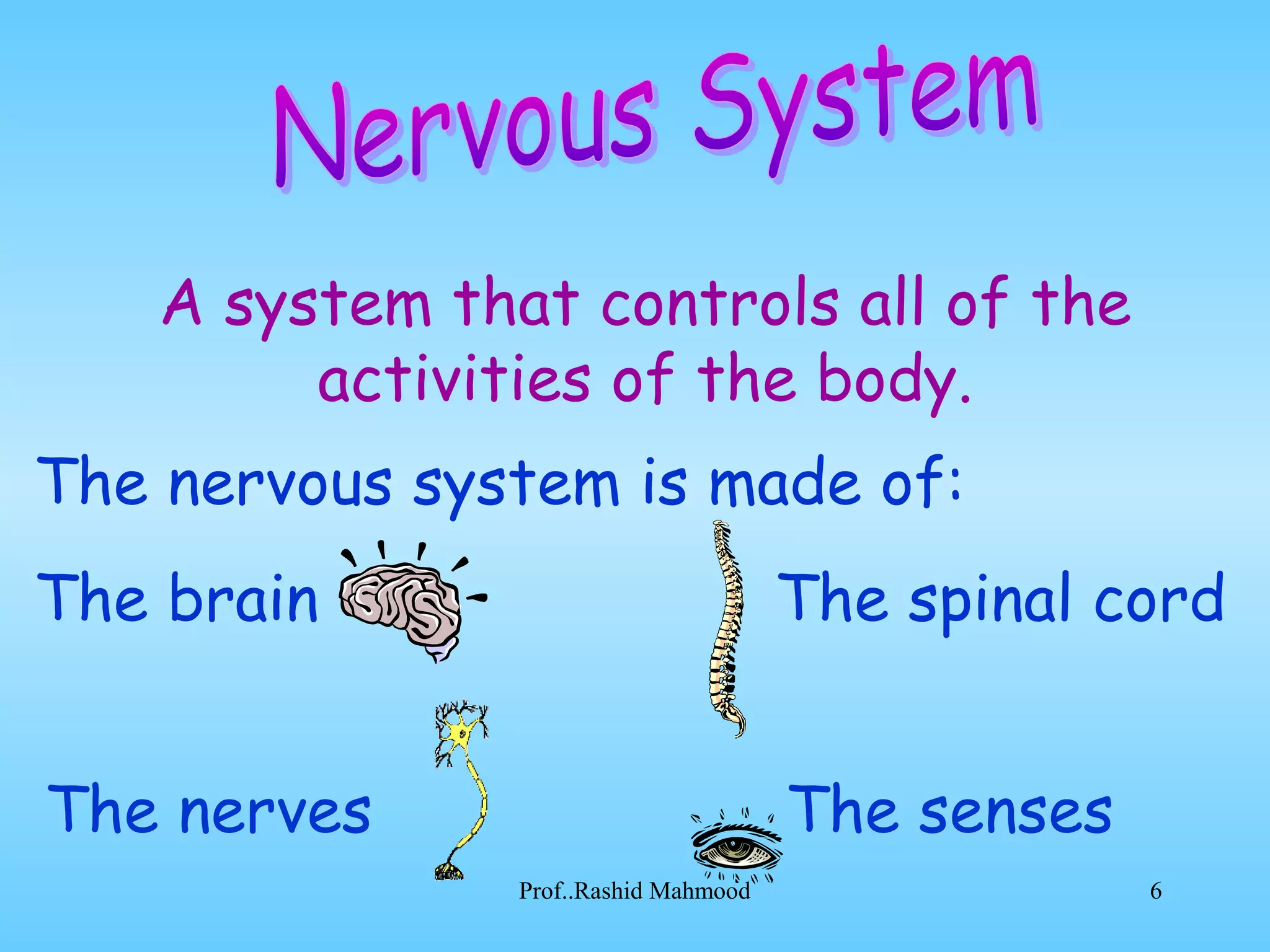 Review of neurophysiology (sensory system) 2016 | PPT