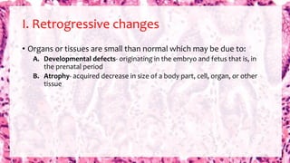 Review of Normal Histology Powerpoint Presentation | PDF