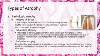 Review of Normal Histology Powerpoint Presentation | PDF