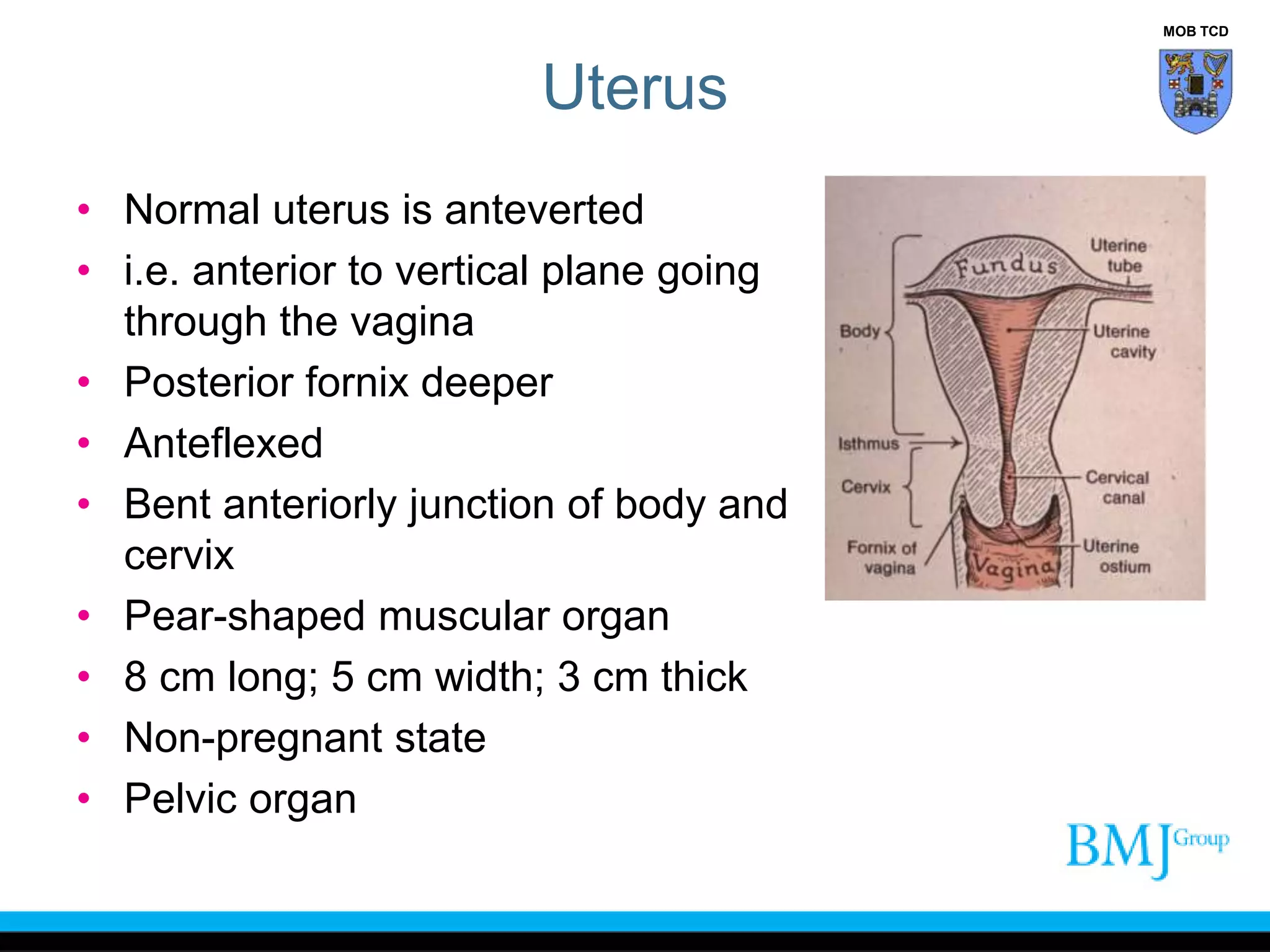 Review_of_Pelvic_Anatomy_BMJ.pptx