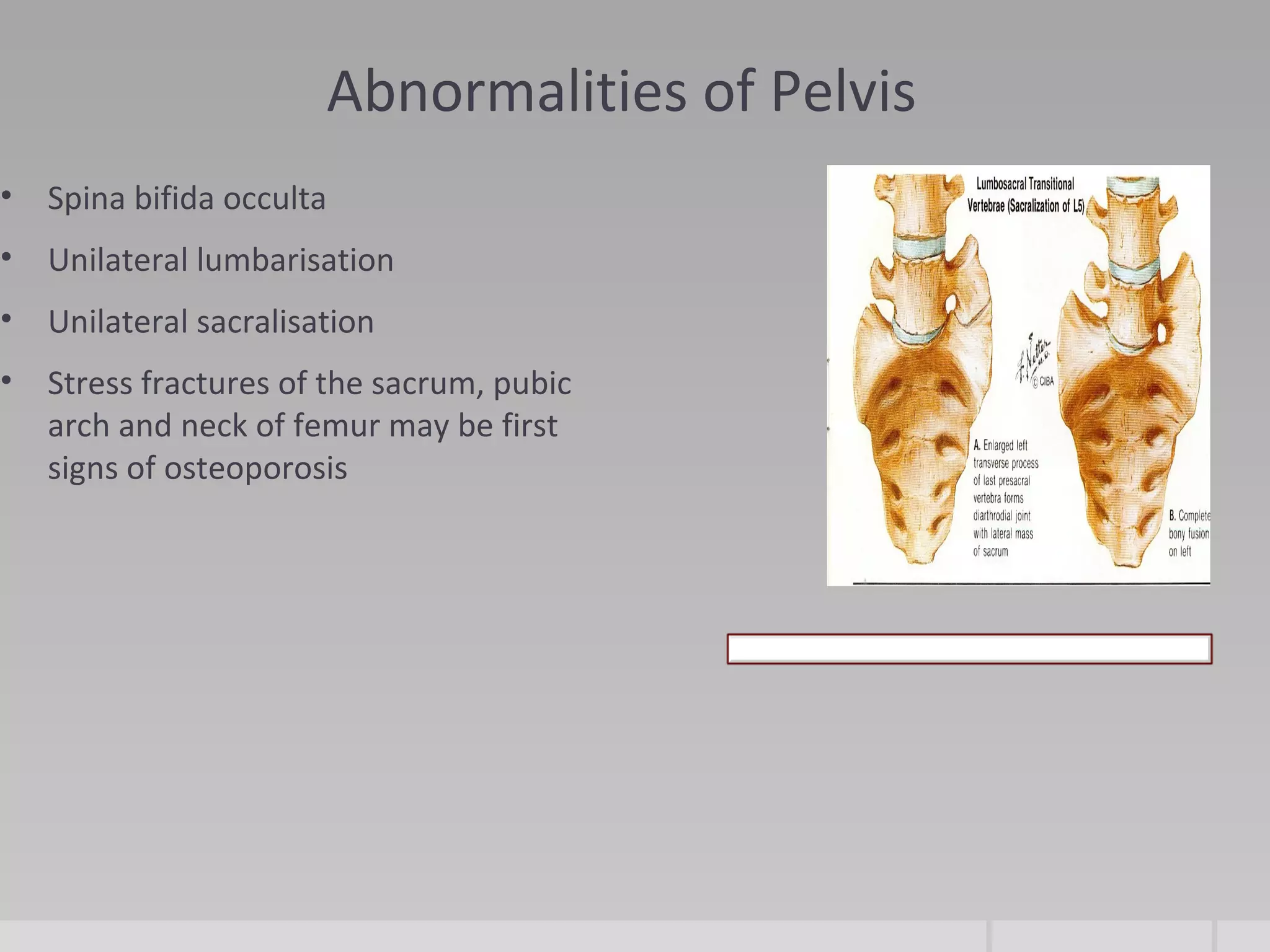 Review of pelvic_anatomy_by- dr. armaan singh | PPT