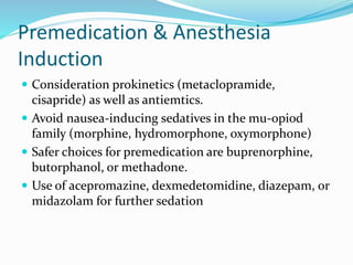 Review of perioperative management of brachycephalic dogs | PPT