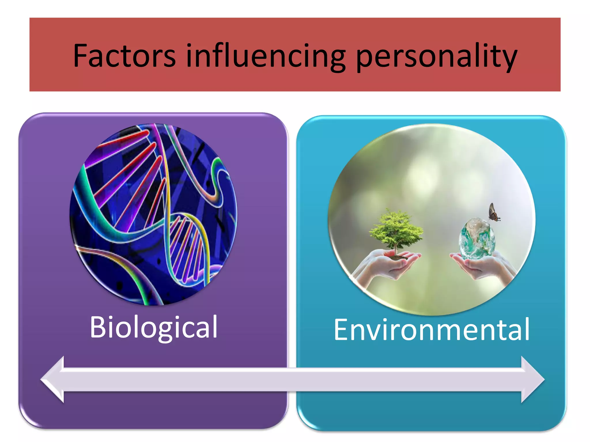 Review of personality development | PDF