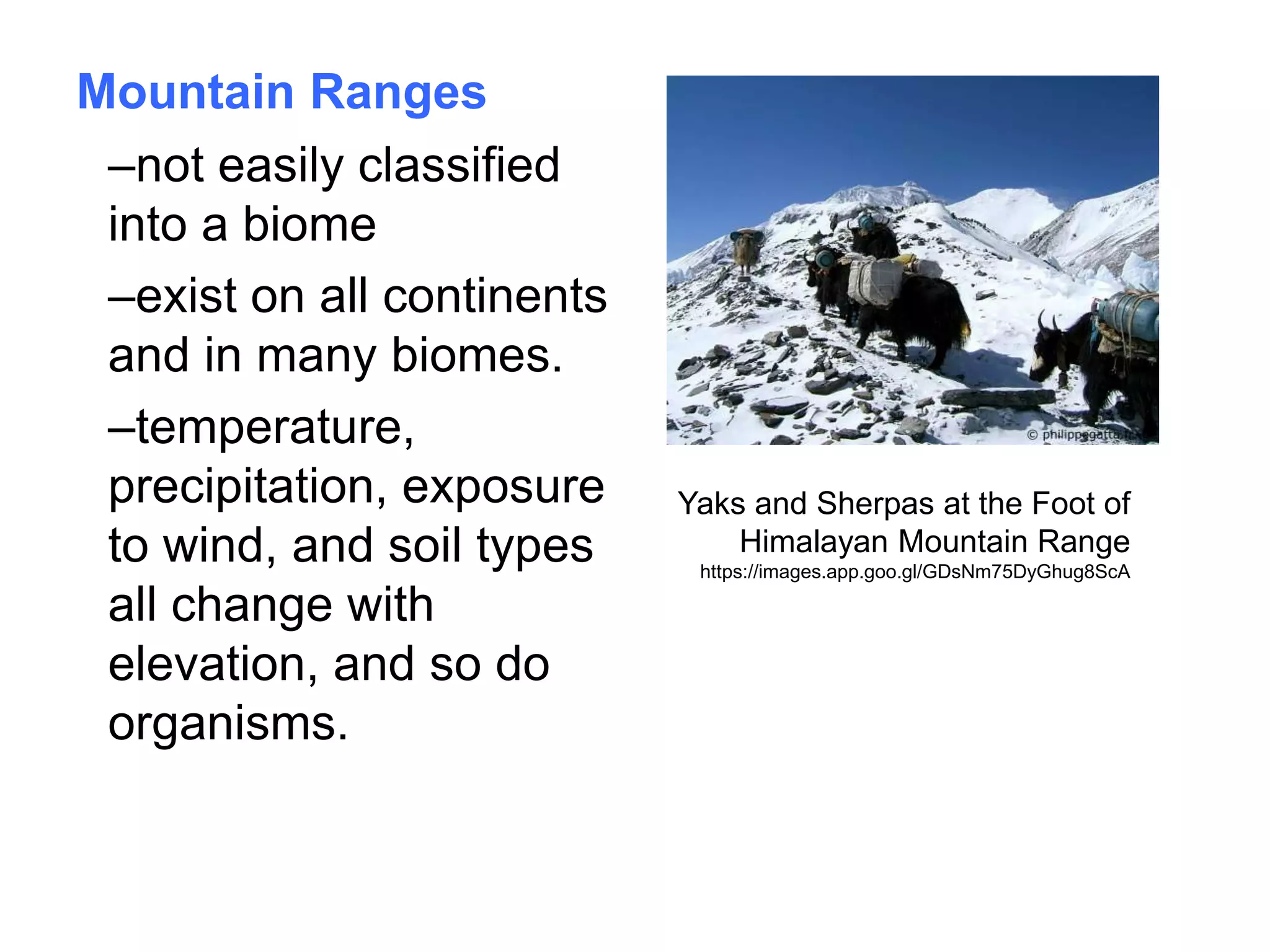 Review of seven of earth's biomes | PPT