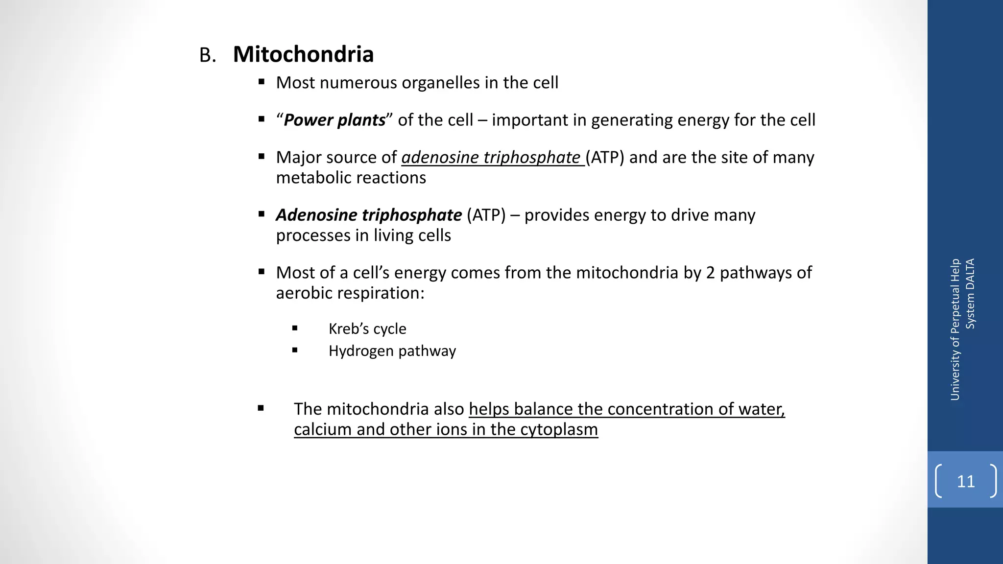 Review of the Cell 1.pptx