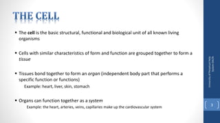 Review of the Cell 1.pptx