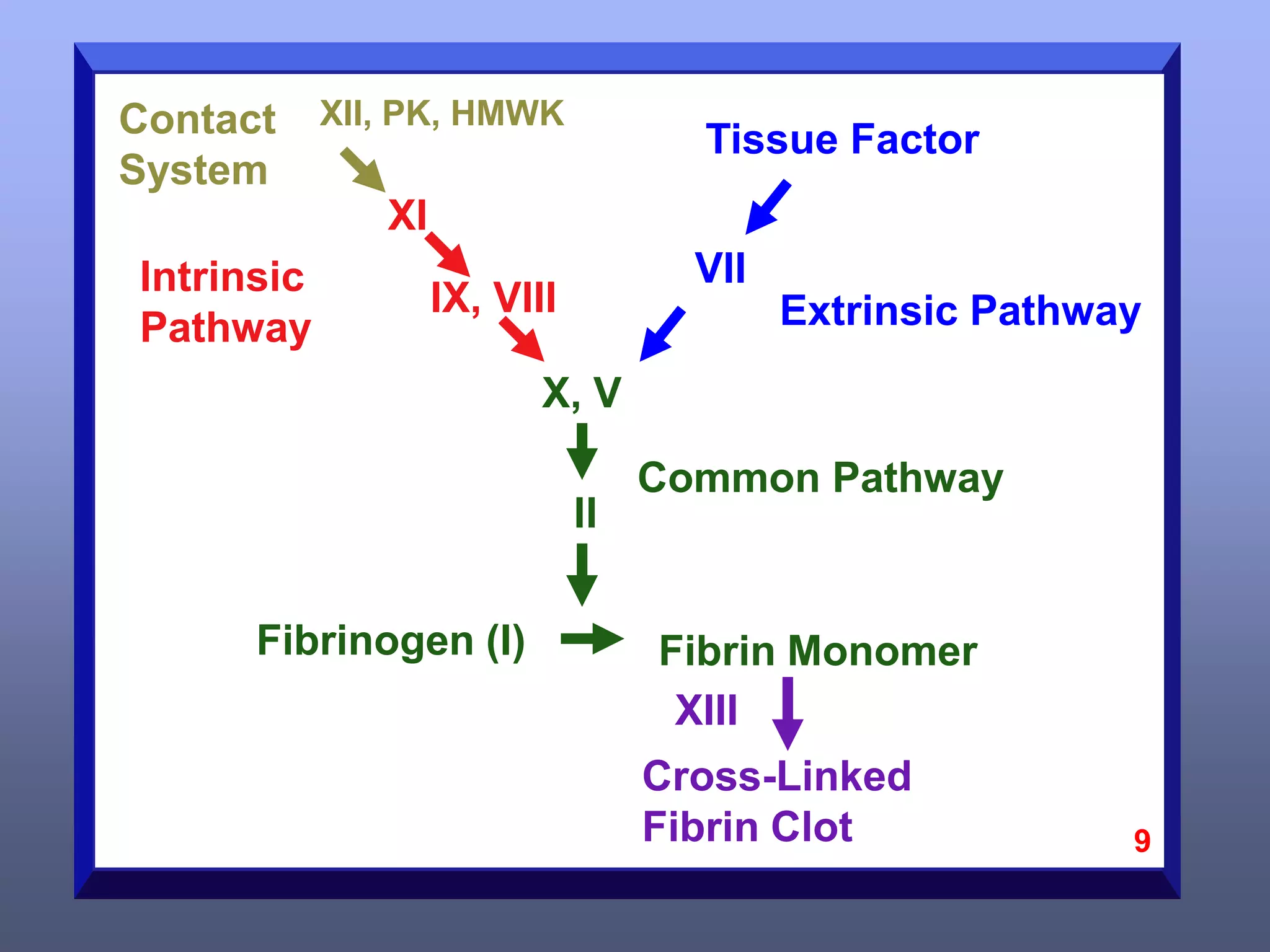 Review of the coagulation system | PPTX