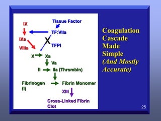 Simple Coagulation Cascade